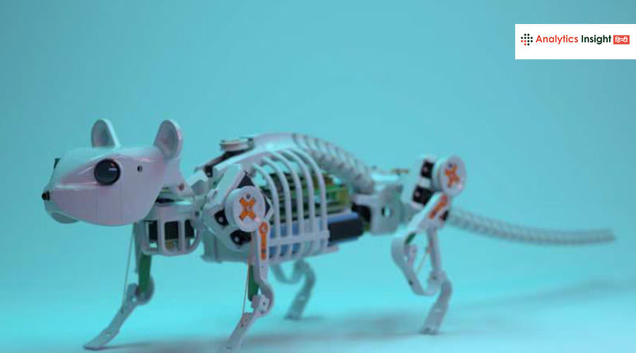 इंसानों की जान बचाएगा यह Robotic Mouse! करेगा आपका हर काम